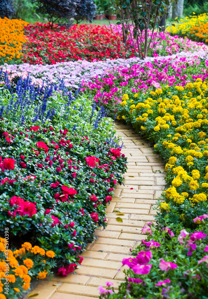 Flower Garden Path