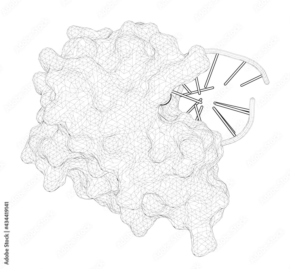 3D rendering as a line drawing of a molecule. Stepwise analyses of ...