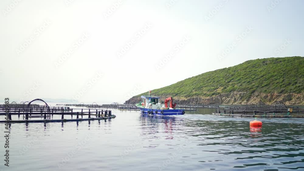 In a cage fish farm, a boat feeds and harvests fish. Footage of a blue ...