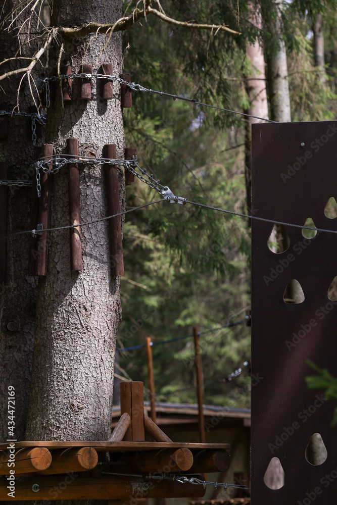 Elements of a sports rope park in the forest.Passing a route with ...