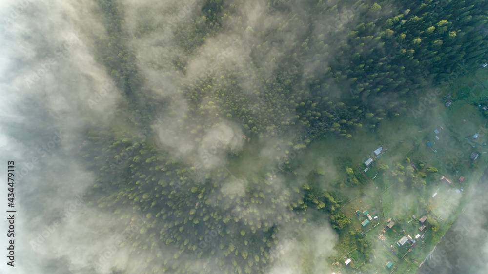 Aerial top view of misty forest trees in forest in Canada. Drone ...