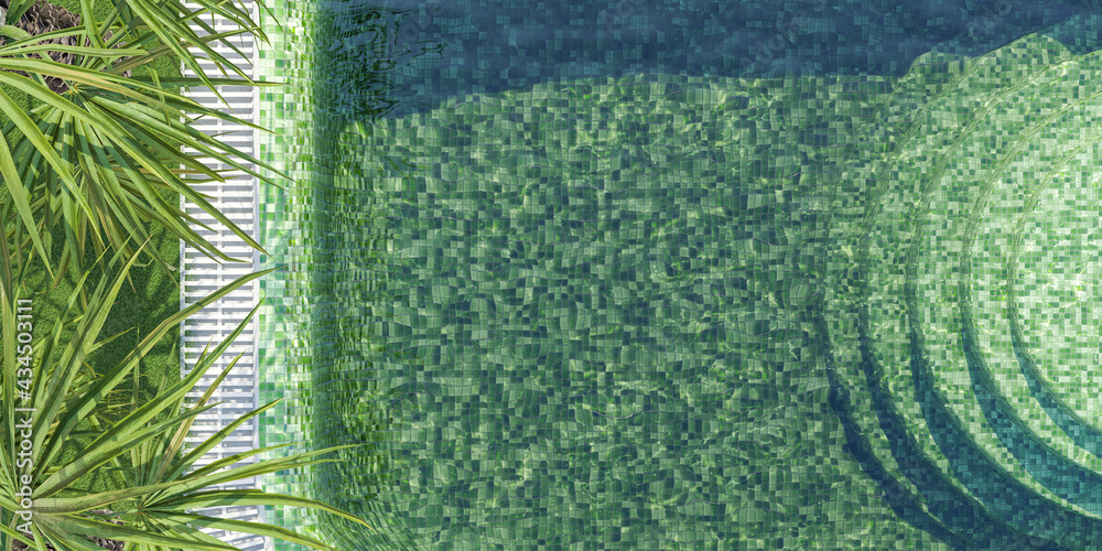 aerial view of green tiled swimming pool with palm leaves Stock ...