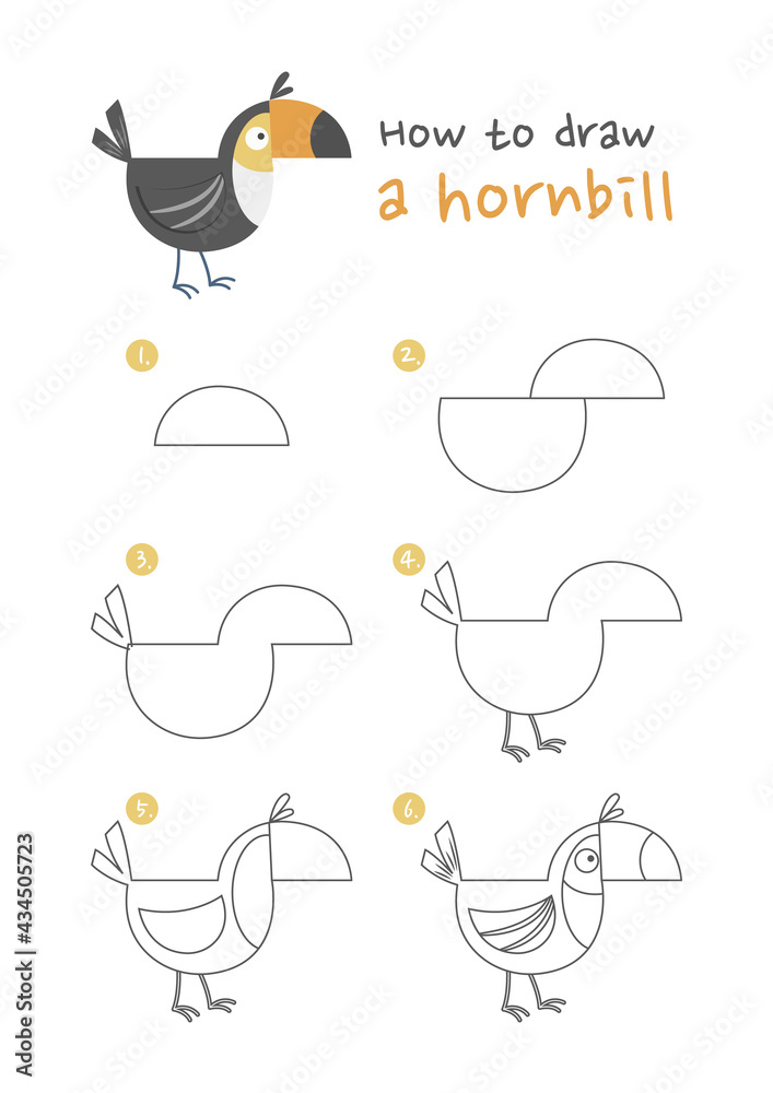 How to draw a hornbill bird vector illustration. Draw a hornbill step ...