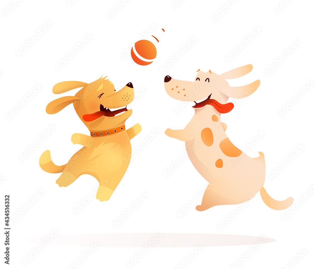 Two dogs best friends playing together, puppy and a dog jumping in the ...