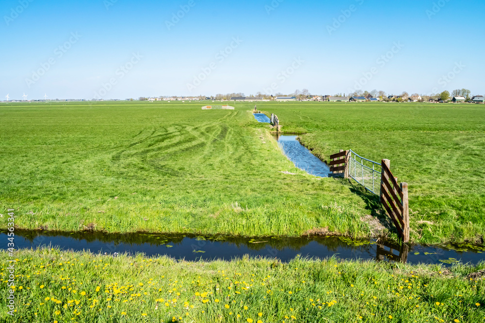 Fotografia do Stock: Summer countryside landscape with a large green ...