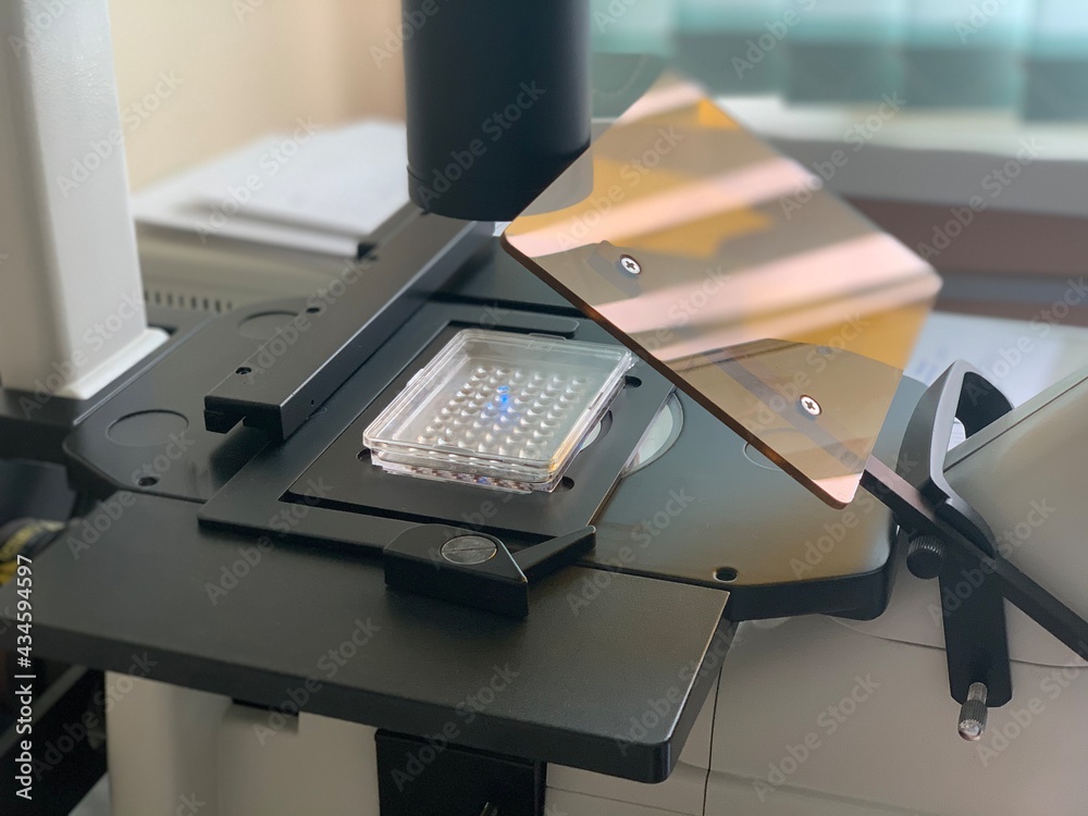 Laboratory inverted microscope with Terasaki plates. Laboratory ...