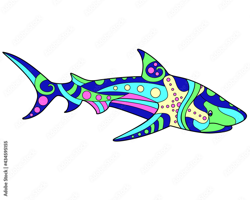 Shark - vector linear full color illustration. Ocean animal ...