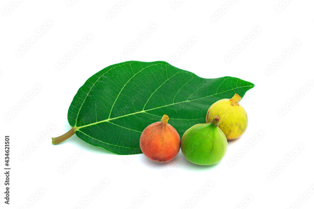 Cluster Fig (Ficus racemosa) fruit laying on green leaf isolated on ...
