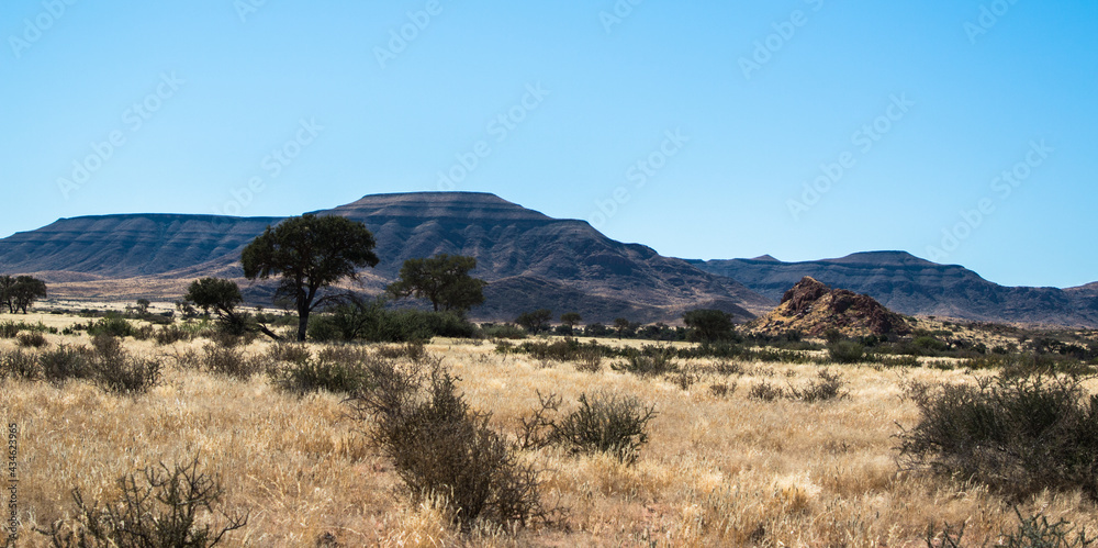 typical landscape of namibia between kalahari and namib desert during ...