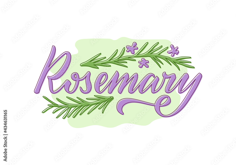 Vector illustration of rosemary lettering for packages, product design ...