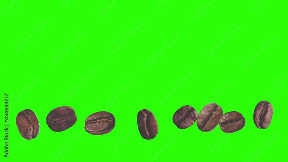 Realistic coffee beans animation graphic element on green screen chroma ...