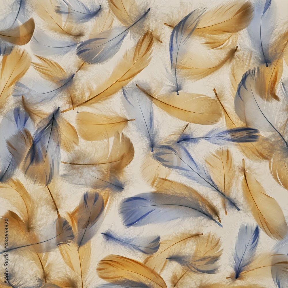 Feathers background in pastel colors. Blue and beige feathers . Natural ...