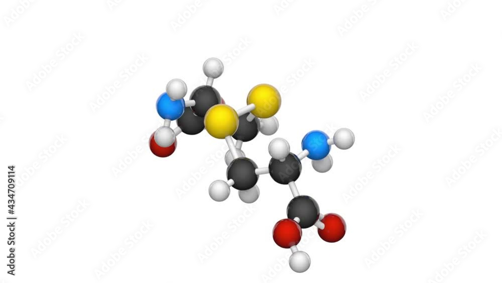 Chemical structural formula and model of cystine. Non-standard amino ...