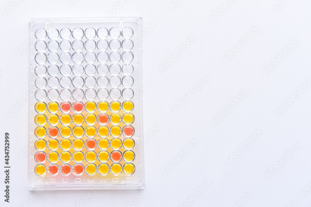 Enzyme-linked immunosorbent assay or ELISA plate, Immunology testing ...