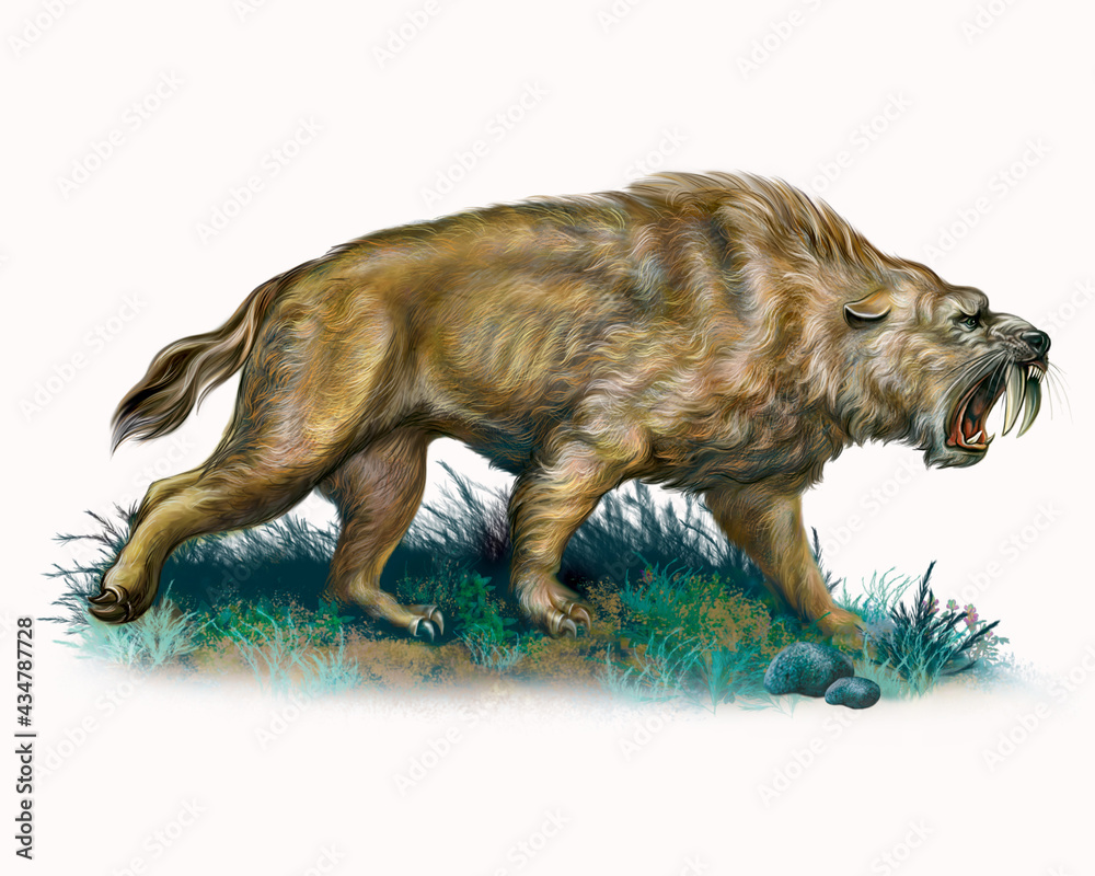 Cave saber-toothed tiger smilodon Stock Illustration | Adobe Stock