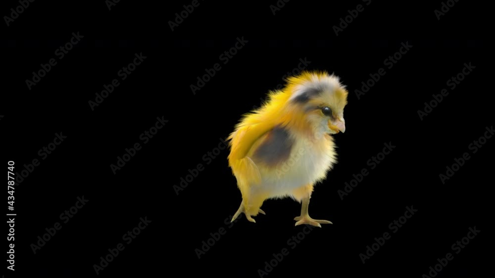 Baby Chickens Dance CG fur 3d rendering animal realistic composition 3d ...