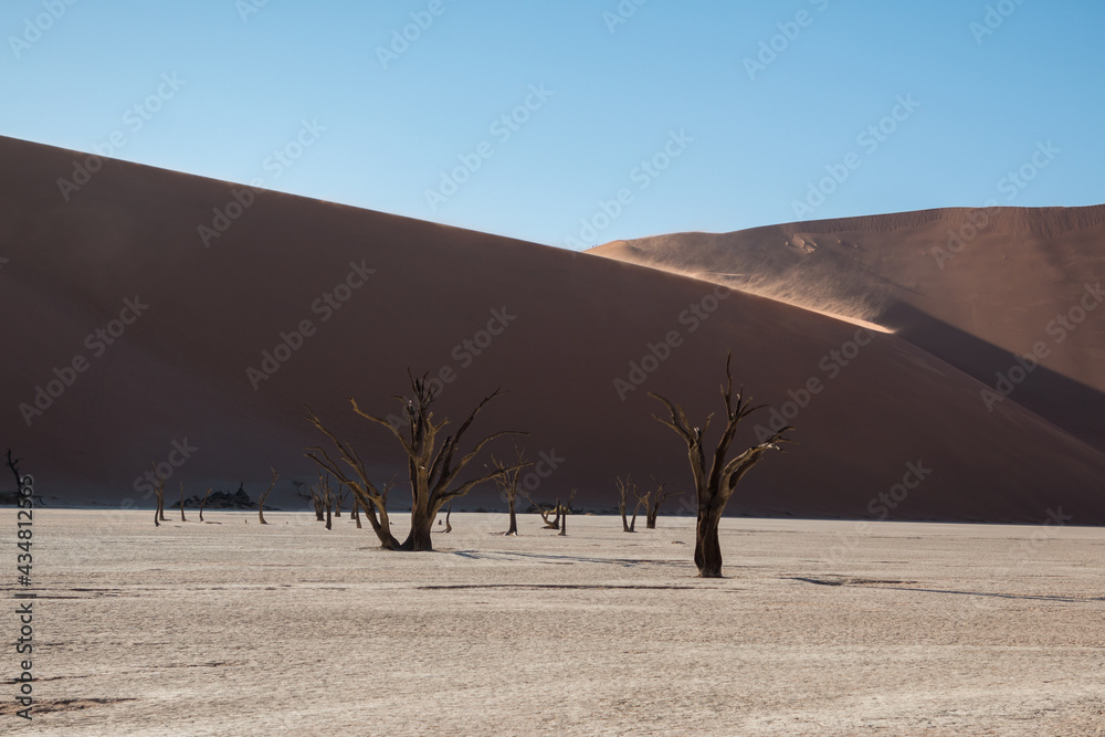famous dead trees of dead vlei in front of red dunes with wind blowing ...