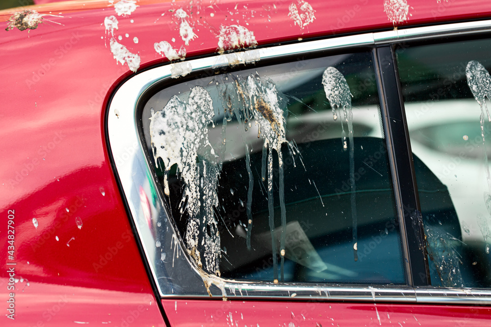 Dirty red car surface with lot of bird pigeon droppings. Dirty place ...