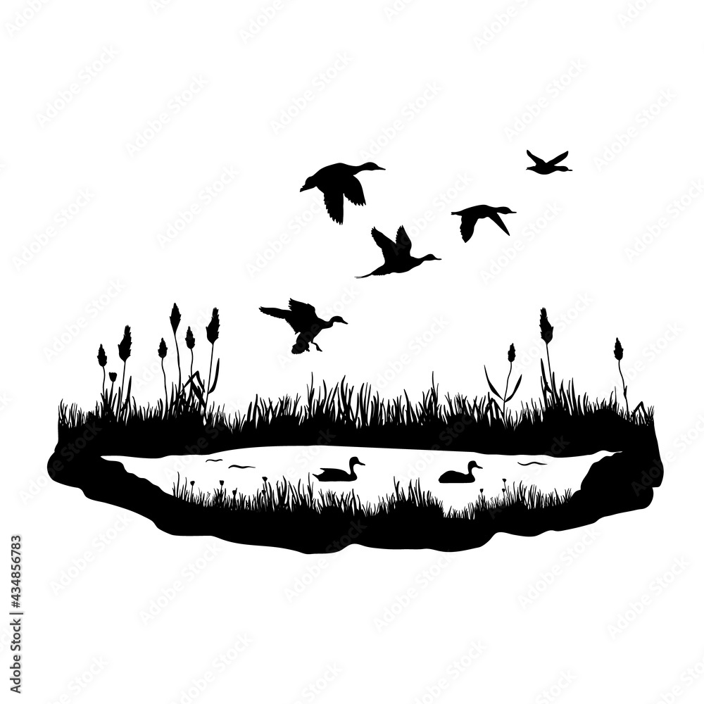 Silhouettes of water plants, ducks and reeds. Vector black illustration ...