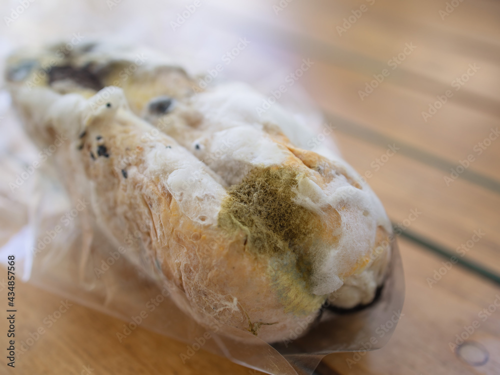 Closeup moldy bun in plastic pack, isolated bread with moldy, fungi ...