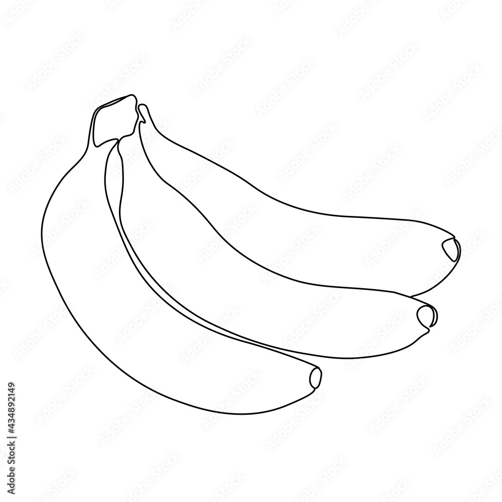 Continuous one line drawing banana. Vector illustration. Black line art ...