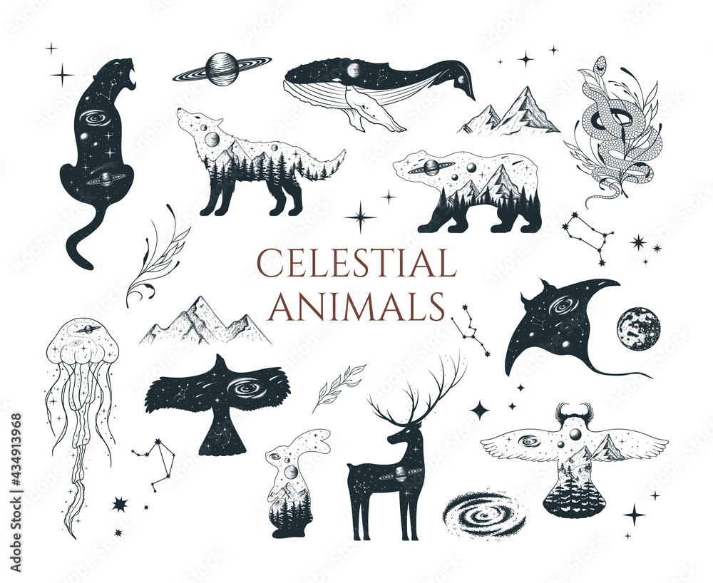 Hand drawn vector isolated collection of celestial animals. Mystical ...
