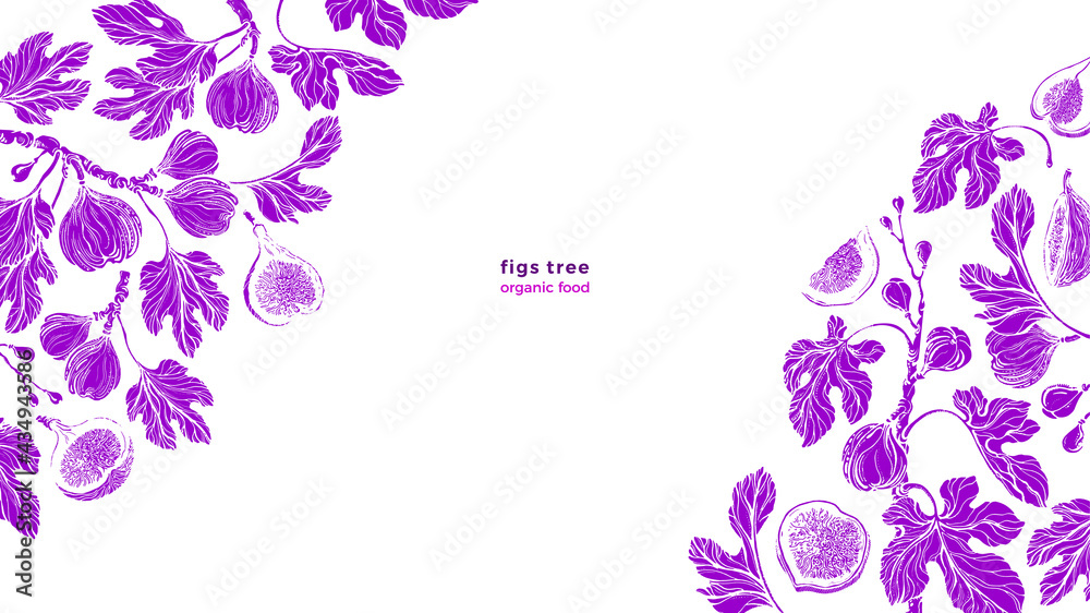 Figs, pulpy fruit, texture twig. Vector art border Stock Vector | Adobe ...