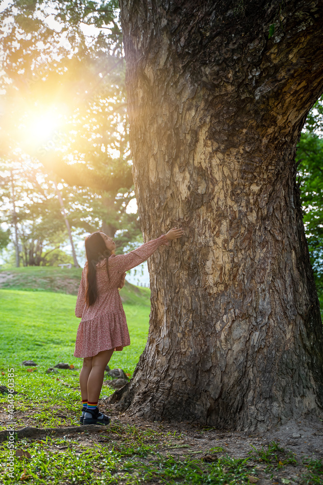Young female standing looking at giant big tree and hand touching old ...