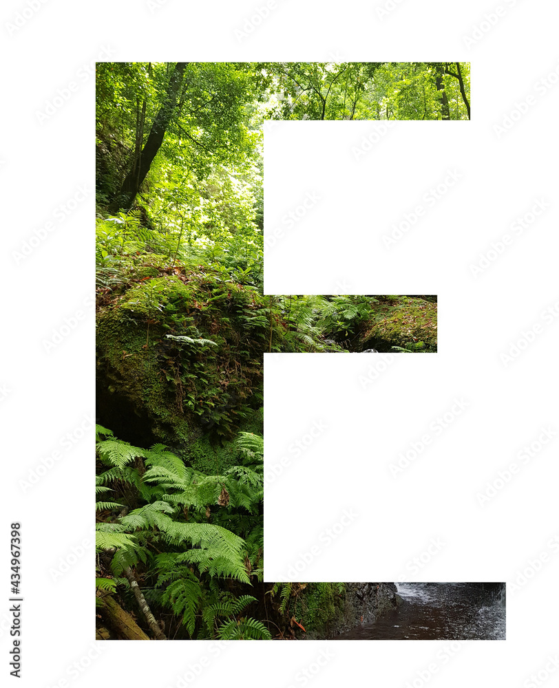 Letras rellenas de imagen de selva tropical, muy verde con cascada ...