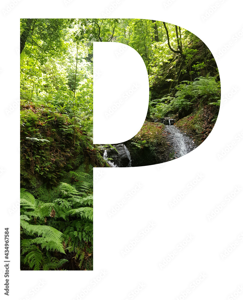 Letras rellenas de imagen de selva tropical, muy verde con cascada ...