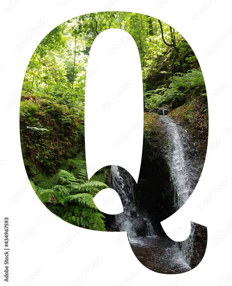 Letras rellenas de imagen de selva tropical, muy verde con cascada ...