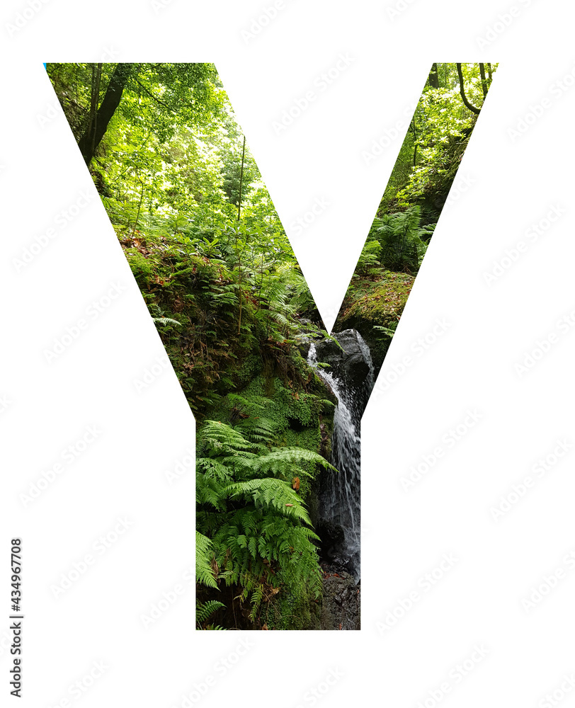 Letras rellenas de imagen de selva tropical, muy verde con cascada ...