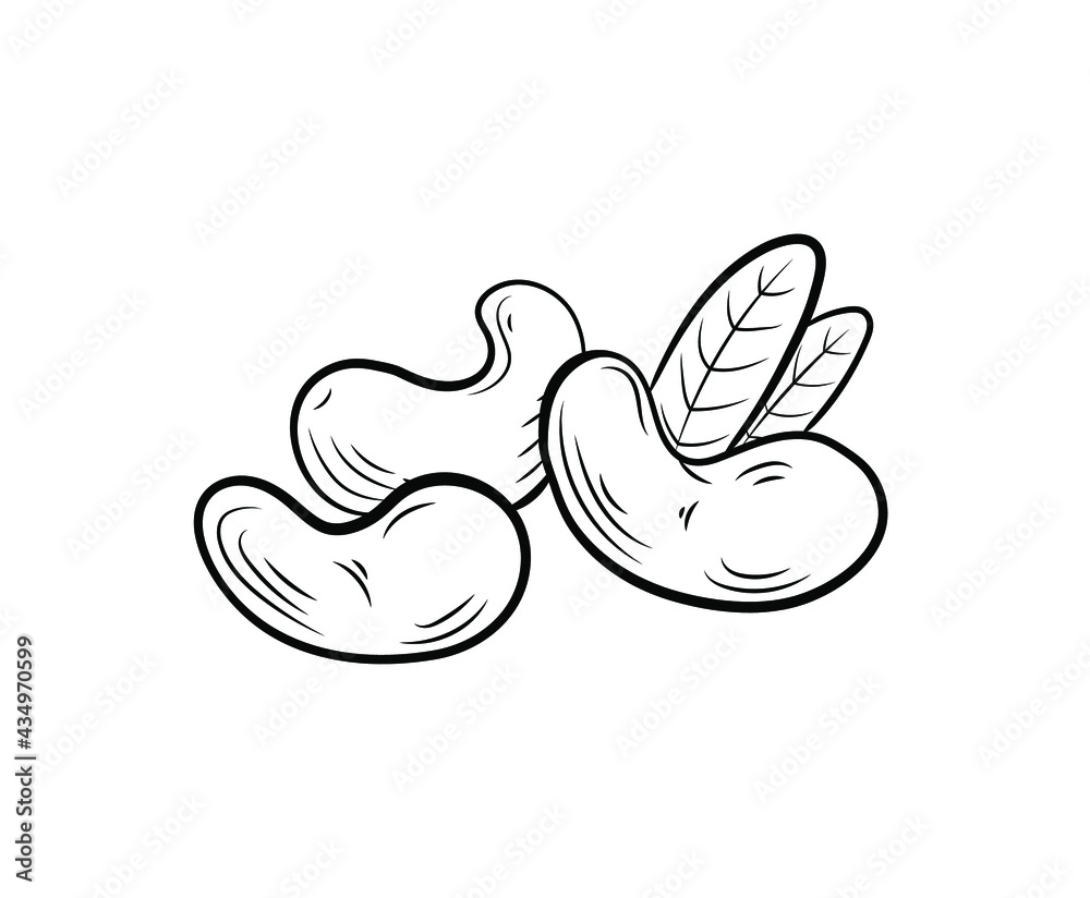 Vector cashew illustration, nuts group with leaves isolated on white ...