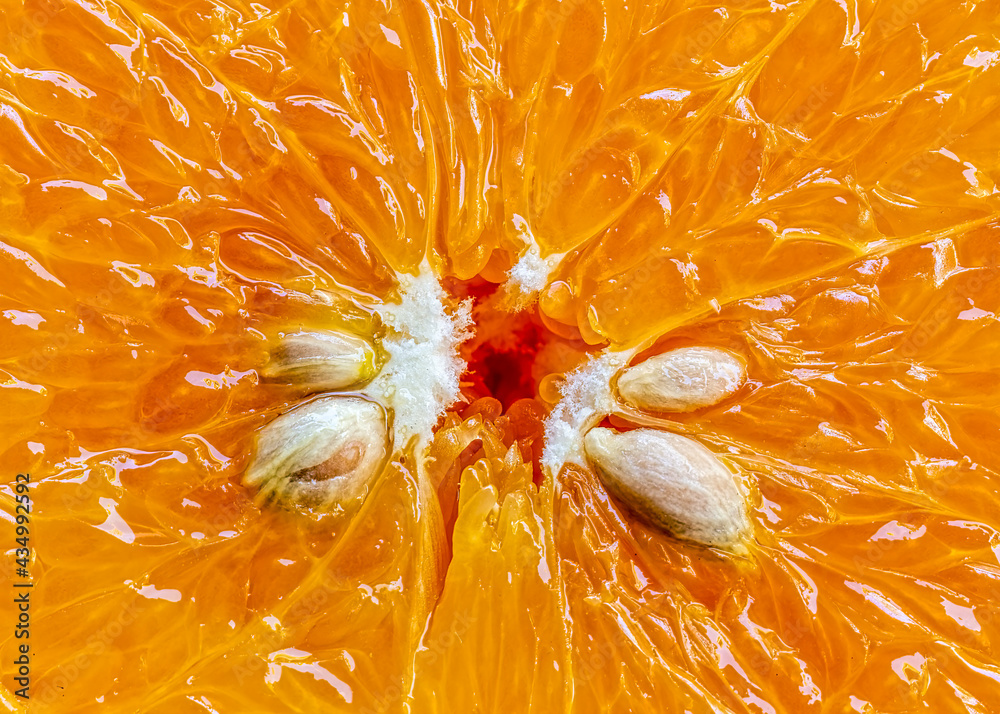 Pulp of orange fruit in detail. Macro Photograph of the pulp of an ...