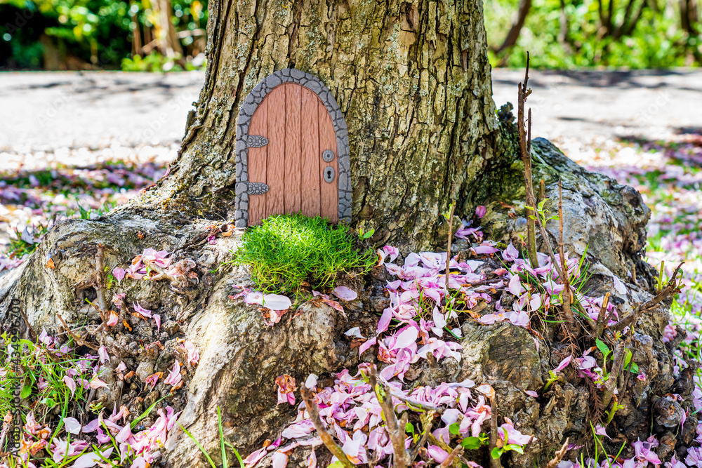 Little fairy tale door made from clay in a tree trunk with pink petals ...