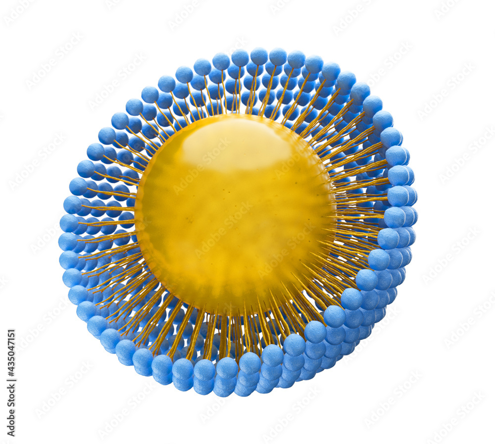 Medical 3D illustration of a monolayer micelle structure with a fat ...