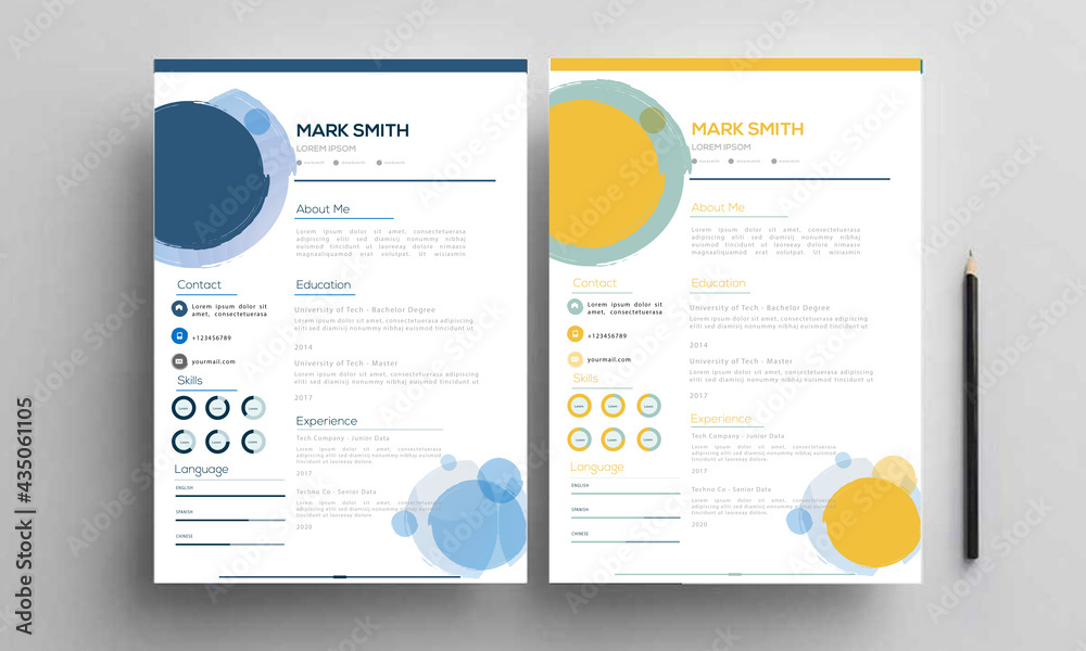 CV templates Professional resume, cover letter business layout job ...