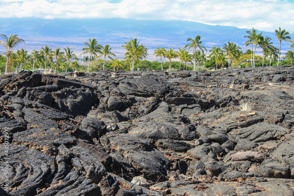 Volcanic landscape with palm trees in blurred background, Big Island ...