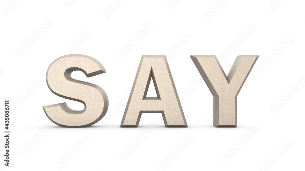 Plantin metallic 3D text "SAY" on white background with shadow at the ...