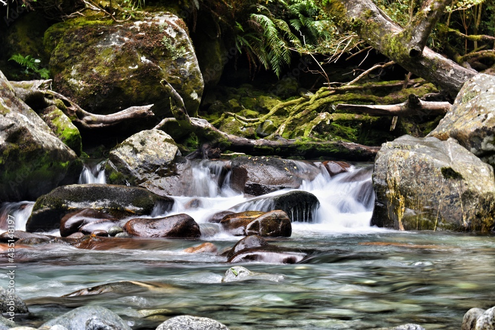 New Zealand, Milford Track is one of the Great Walks. This track is 52 ...