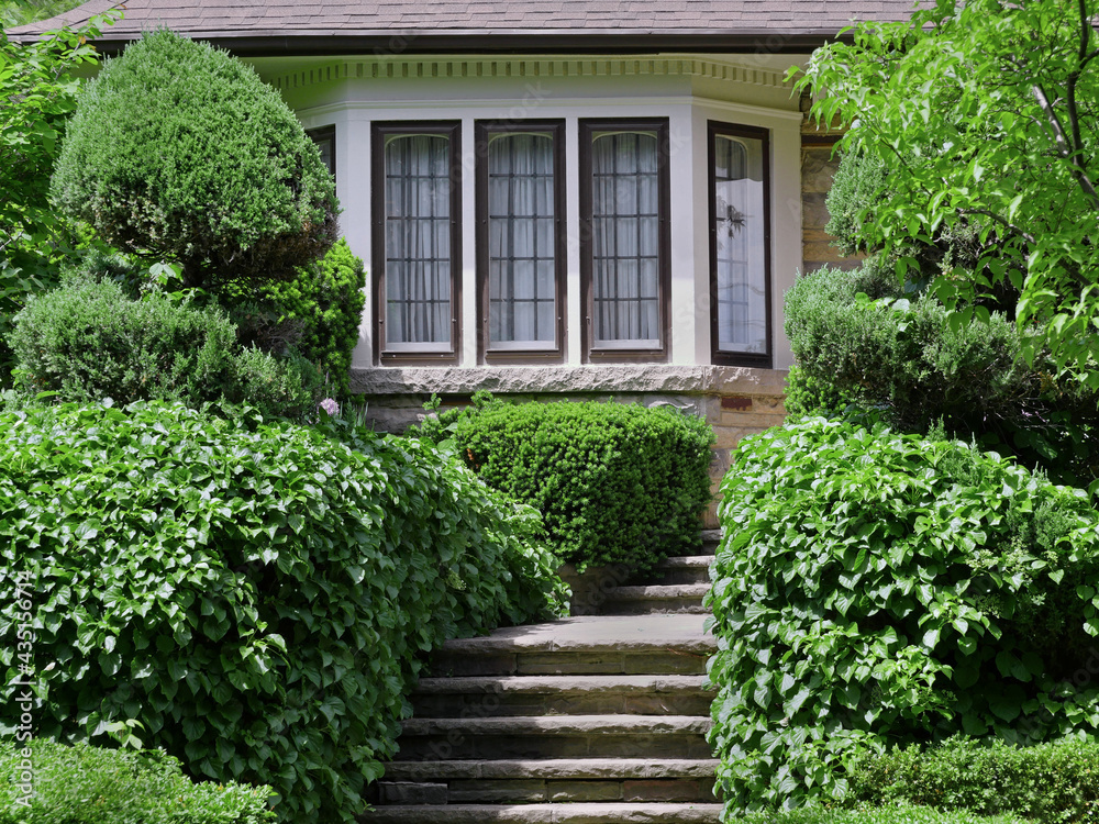 Steps leading to front door of house, surrounded by dense shrubbery ...
