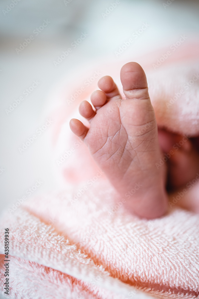 Baby girl's feet cover in a pink towel. Tiny Newborn Baby's feet ...
