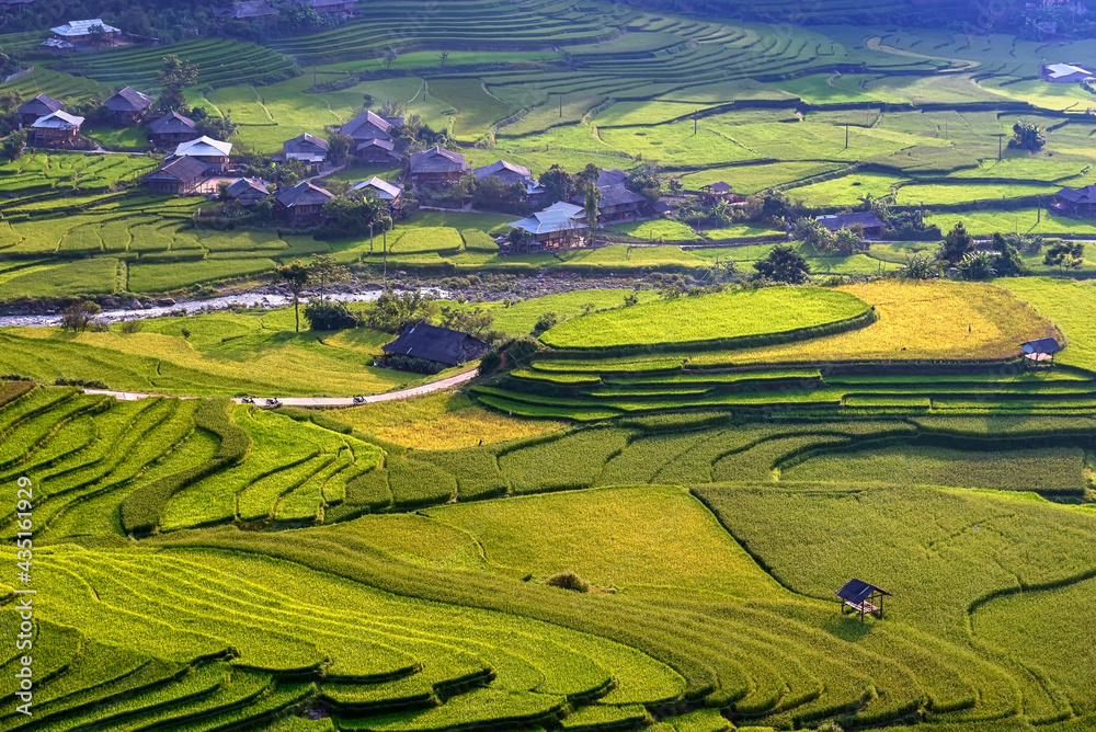 Rice fields on terraced beautiful shape of TU LE Valley, view on the ...