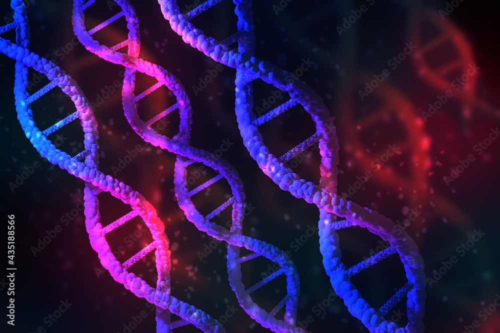 The molecular structure of DNA. The helix of DNA genes. Three ...
