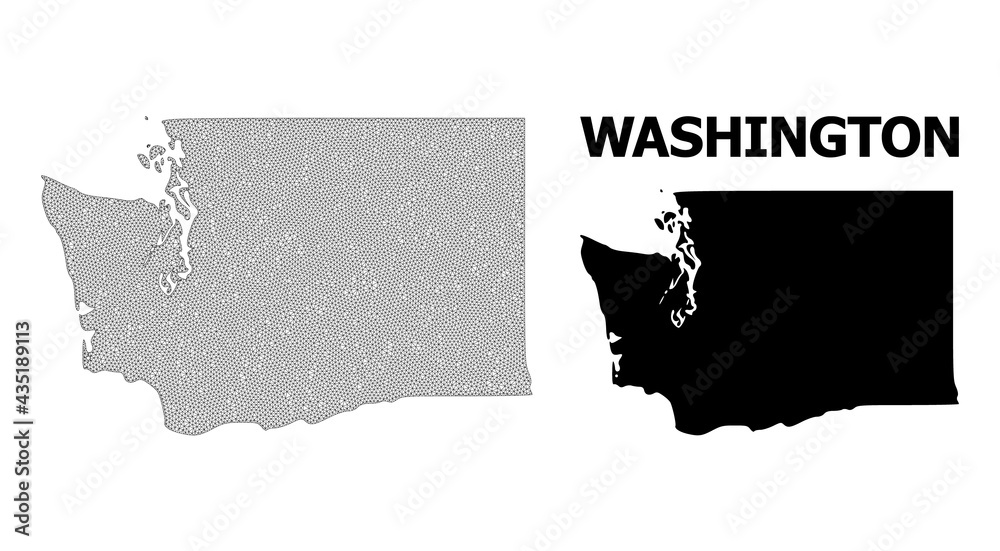 Polygonal mesh map of Washington State in high detail resolution. Mesh ...