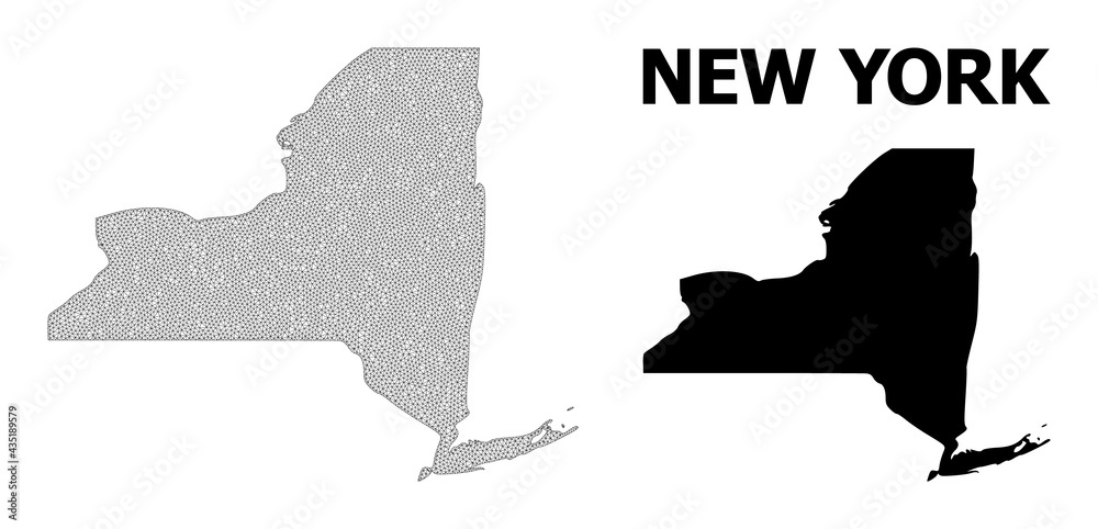 Polygonal mesh map of New York State in high detail resolution. Mesh ...