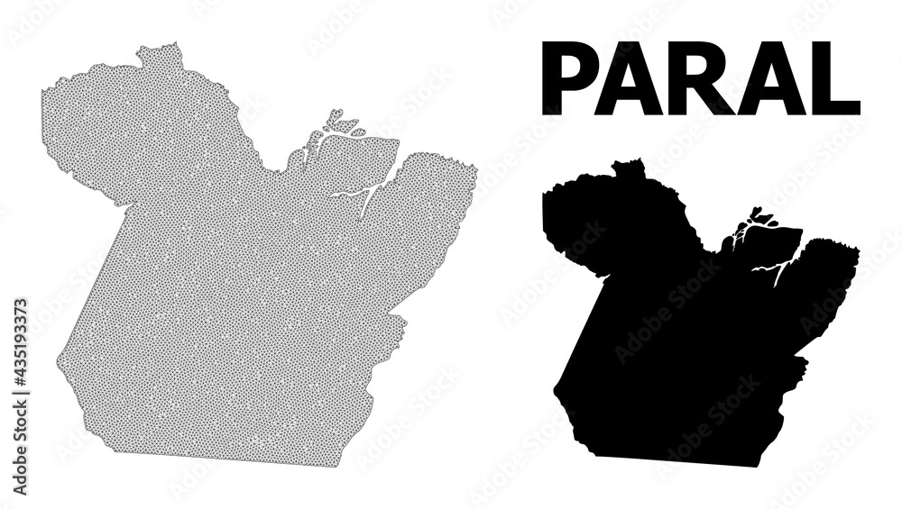 Polygonal mesh map of Paral State in high detail resolution. Mesh lines ...