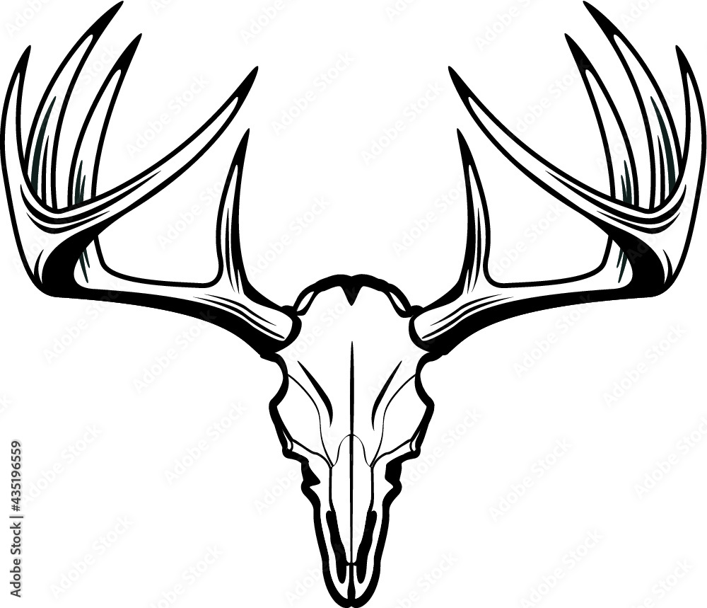 vector deer buck skull with antlers Stock Vector | Adobe Stock