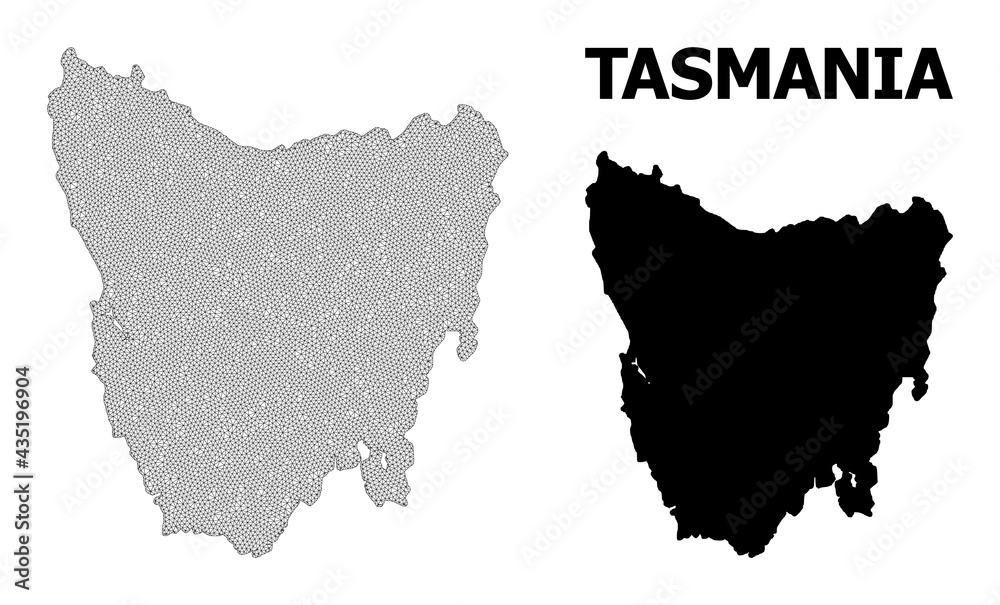 Vetor de Polygonal mesh map of Tasmania Island in high resolution. Mesh ...
