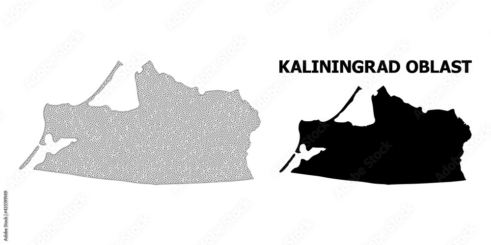 Vetor de Polygonal mesh map of Kaliningrad Region in high resolution ...
